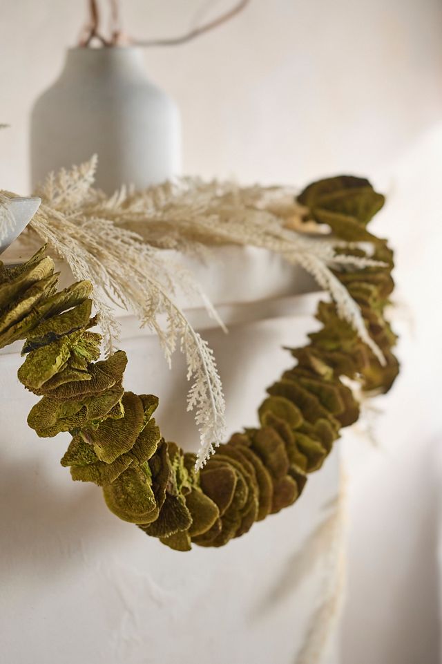 Dried Shelf Mushroom Garland Terrain