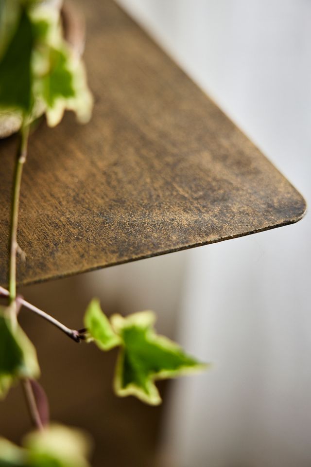 Adjustable Iron Plant Stand | Terrain
