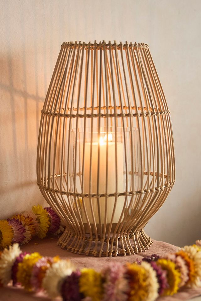 Tulip Cane Lantern | Terrain