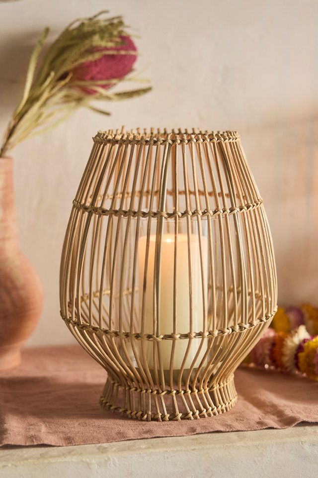 Tulip Cane Lantern | Terrain