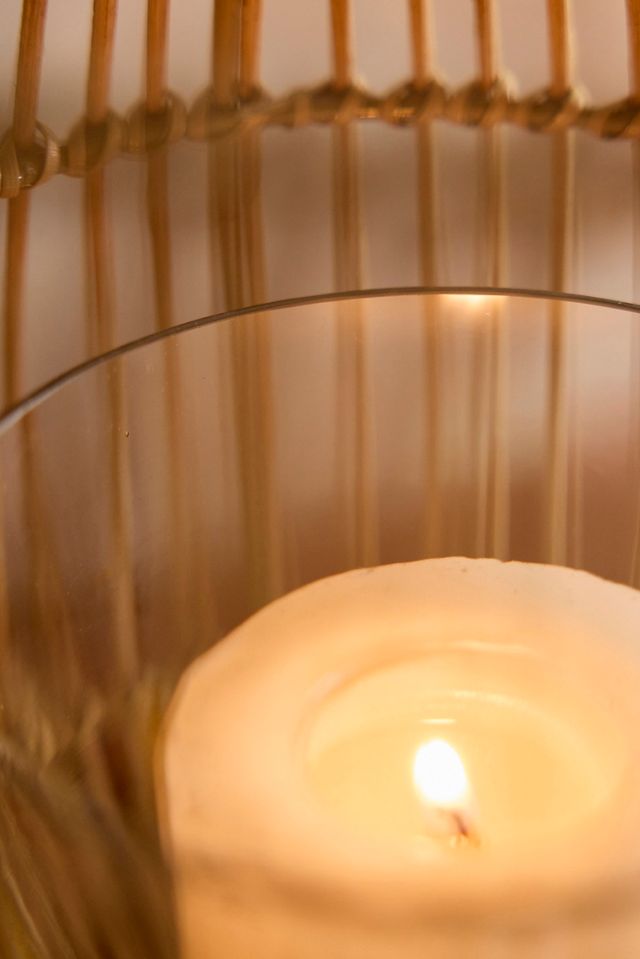 Tulip Cane Lantern | Terrain