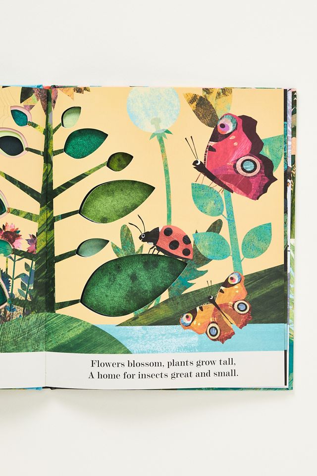 Peek-Through Picture Book Bundle | Anthropologie