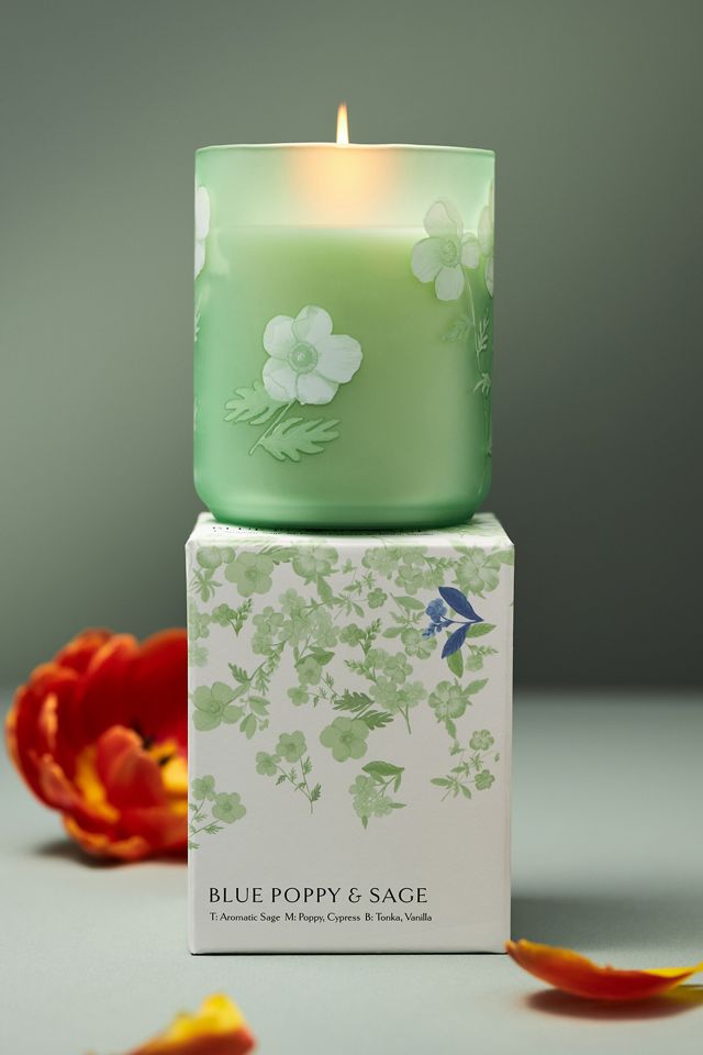 Eloise Floral Blue Poppy & Sage Floral Glass Candle | Anthropologie UK