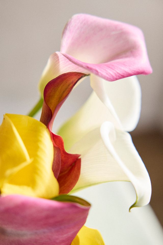 Fresh Calla Lily Bouquet | Terrain