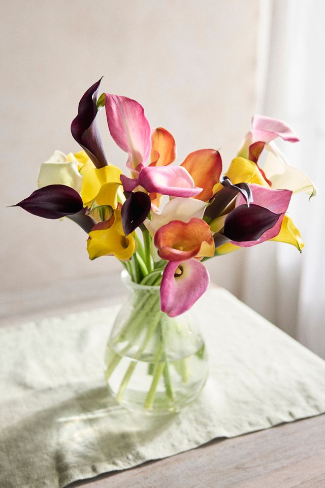Fresh Calla Lily Bouquet | AnthroLiving