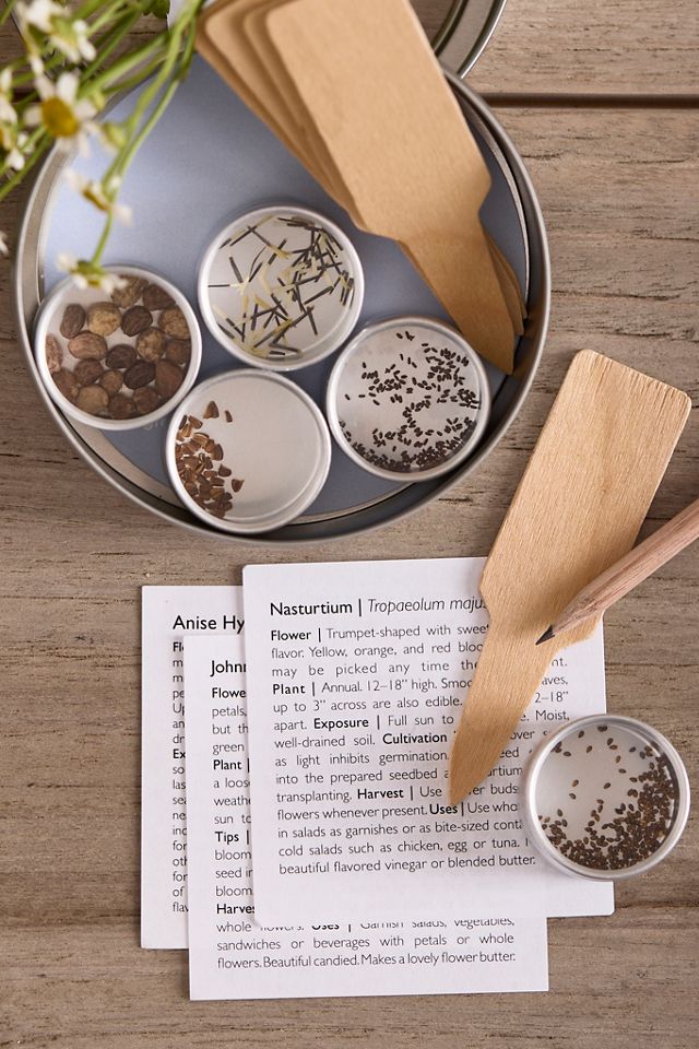 Edible Flower Garden Seed Kit | Terrain