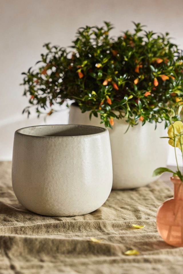 White Glaze Round Pot | Terrain