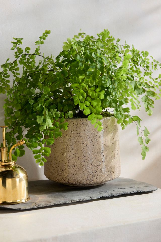 Reactive Glaze Cylinder Pot | Terrain