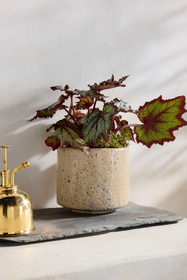 Reactive Glaze Cylinder Pot | Terrain