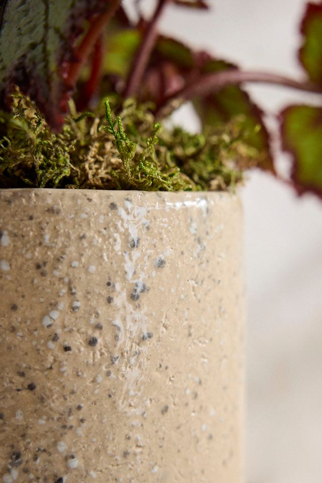 Reactive Glaze Cylinder Pot | Terrain