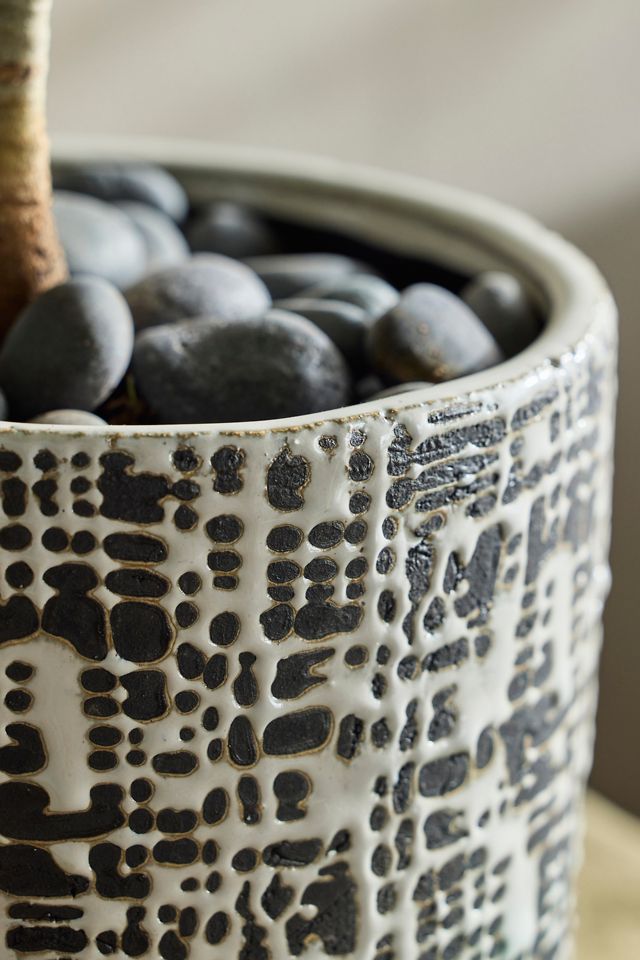 Crosshatch Ceramic Cylinder Pot | Terrain