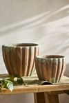 Ribbed Terracotta Taper Pot | AnthroLiving