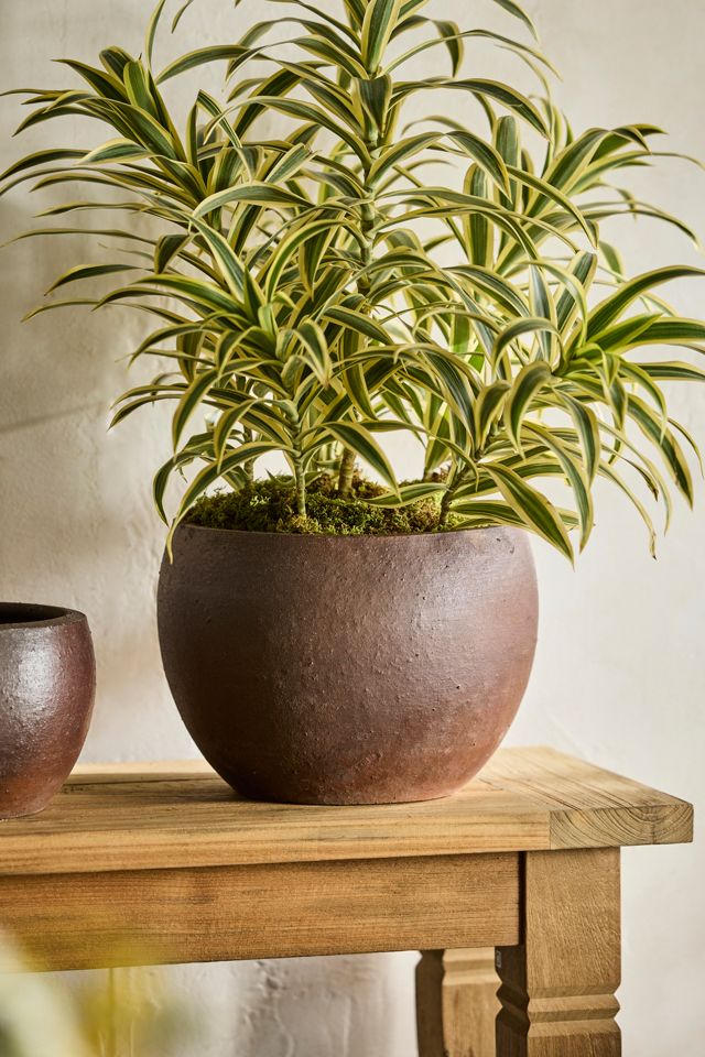 Terracotta Globe Planter | Terrain