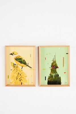 Color Birds Wall Art | Anthropologie
