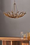 River Reed Basin Chandelier | AnthroLiving