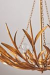 River Reed Basin Chandelier | AnthroLiving