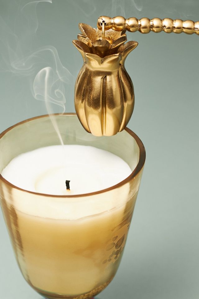 Cara Pineapple Candle Snuffer | AnthroLiving
