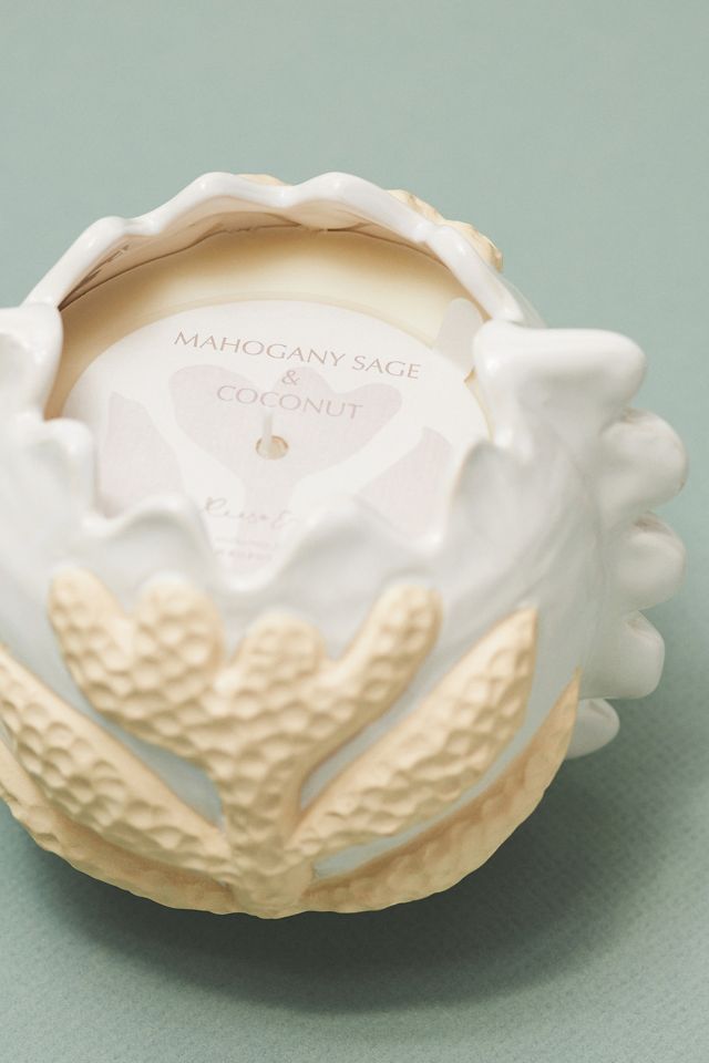 Reese Emry Design Anabella Mae Woody Mahogany Sage & Coconut Ceramic ...