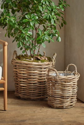 Rattan Cylinder Basket Planter | AnthroLiving