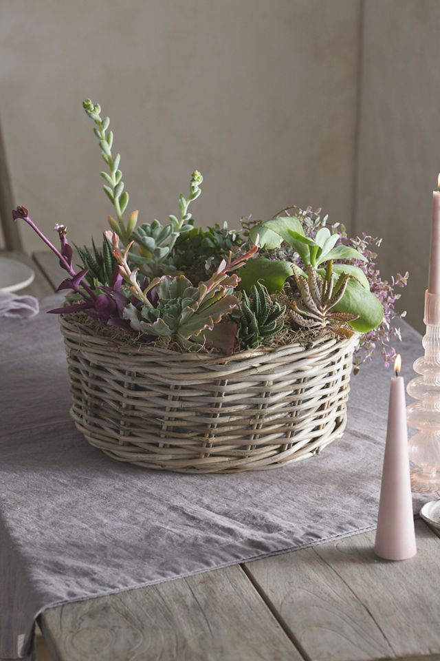 Rattan Wreath Planter | AnthroLiving