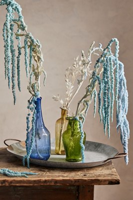 Preserved Hanging Amaranth Bunch | Terrain
