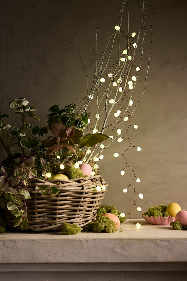 LED Teardrop Lights | Terrain