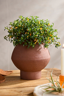 Geometric Terracotta Urn | Terrain