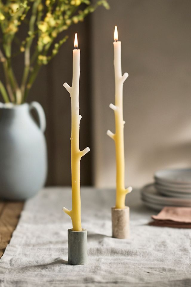 Ombre Maple Stick Candles, Set of 2 | Terrain