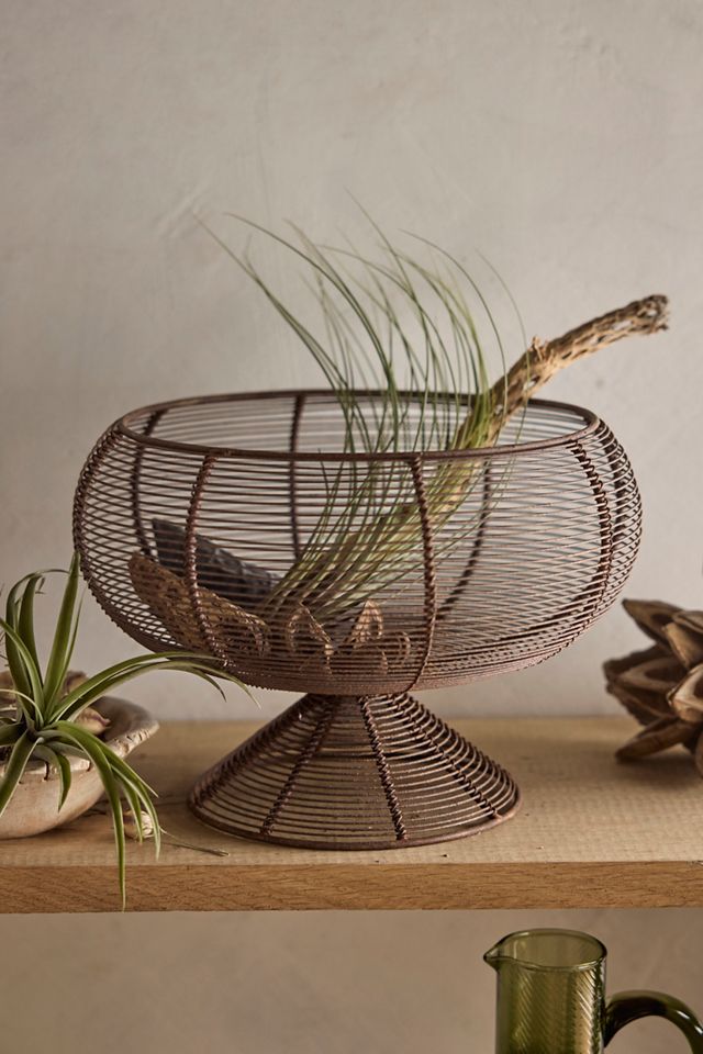 Wire Pedestal Bowl | Terrain