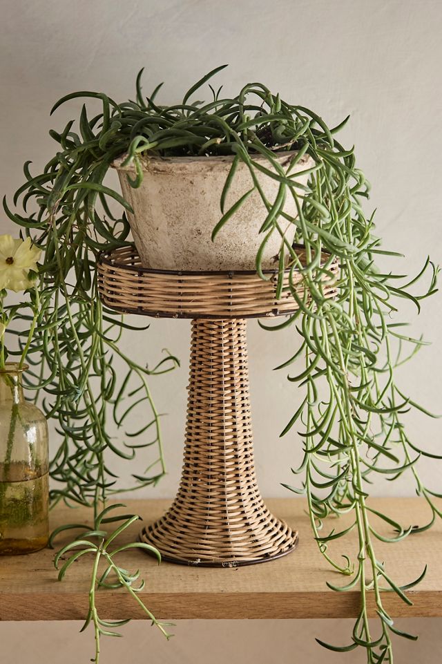 Rattan Pot Riser | AnthroLiving