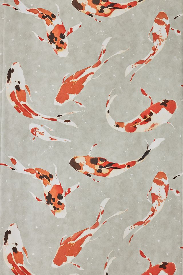 Koi Fish Wallpaper | Anthropologie