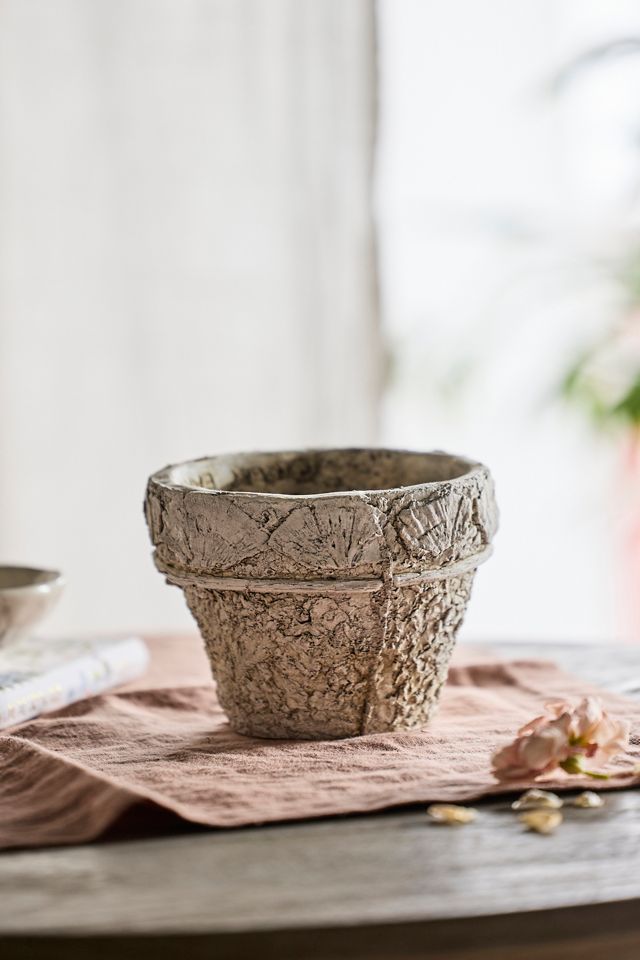 Lichen Concrete Pot | Terrain
