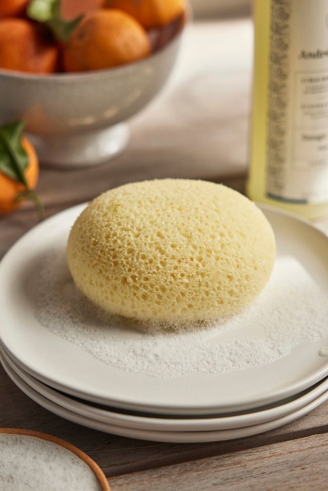 Pebble Sponge | AnthroLiving