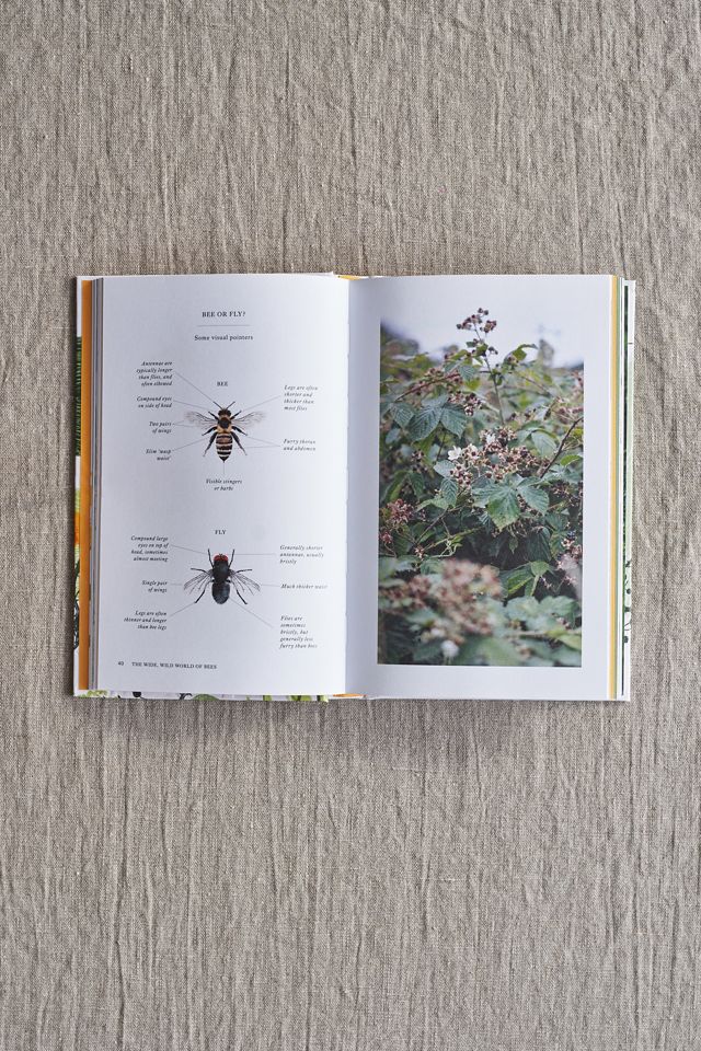 The Wild Bee Handbook | Terrain
