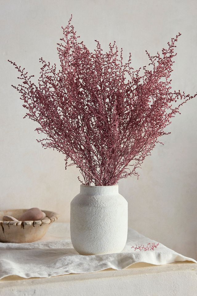 Preserved Stoebe Bunch | AnthroLiving