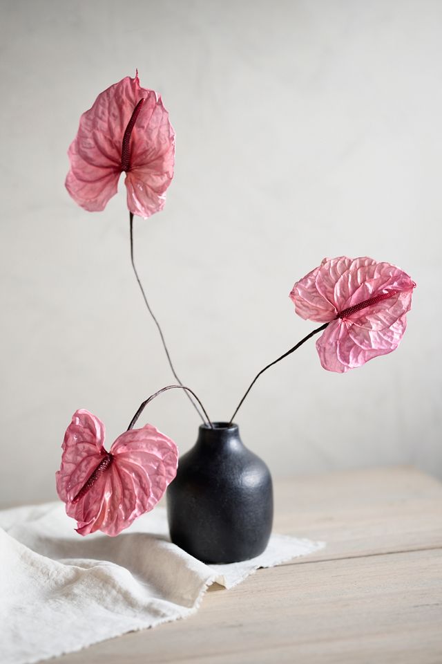 Preserved Anthurium Stem | AnthroLiving