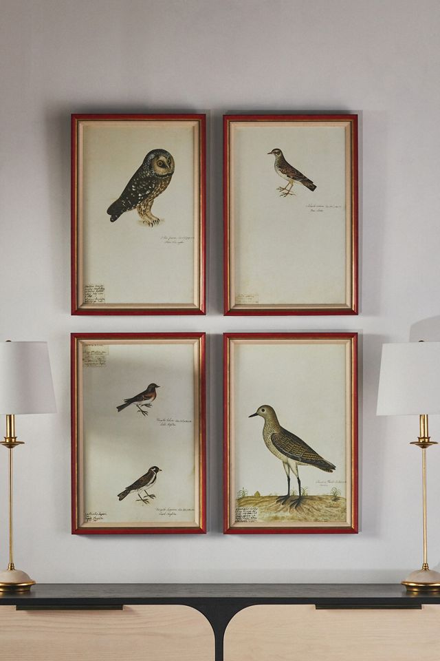 Rudbeck Swedish Birds Wall Art | Anthropologie