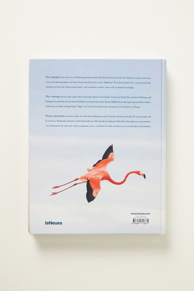 Flamingo | AnthroLiving
