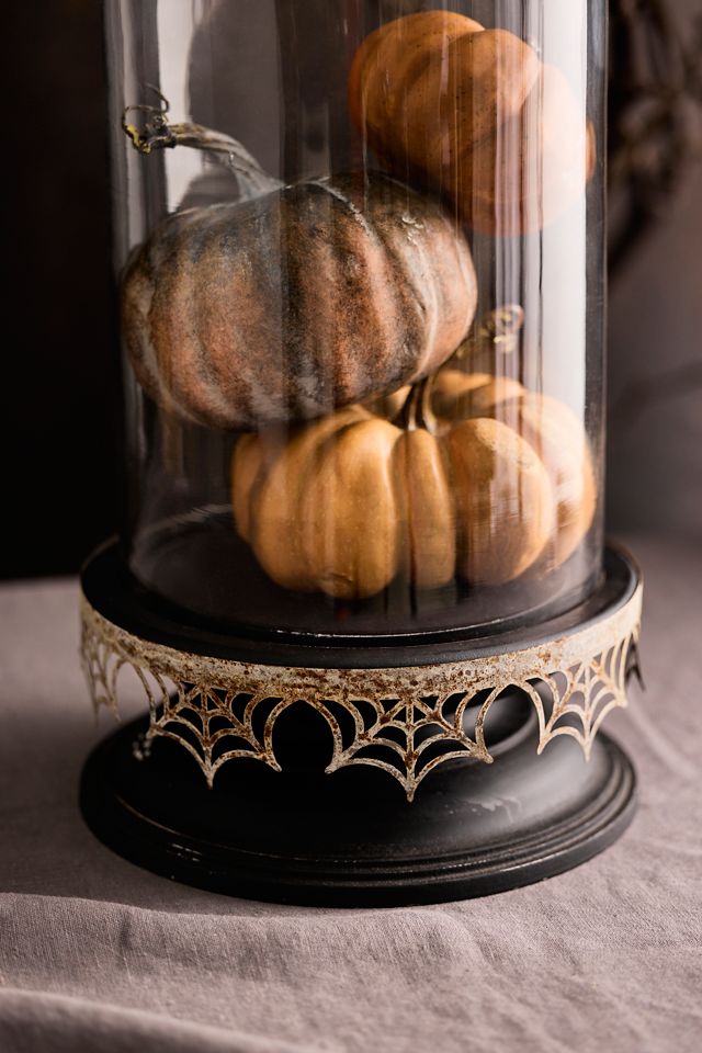 Spider Web Iron Trim | Anthropologie