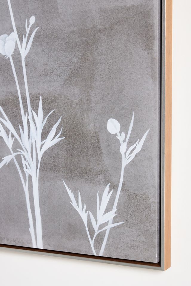 Lurid Wall Art | AnthroLiving
