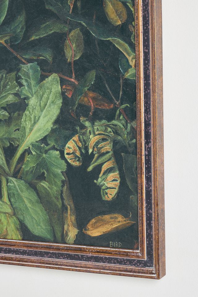 Forest Still Life Wall Art | AnthroLiving