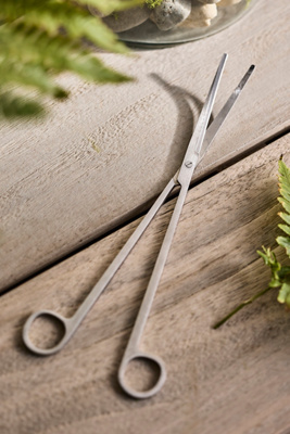 Terrarium Scissors | Anthropologie