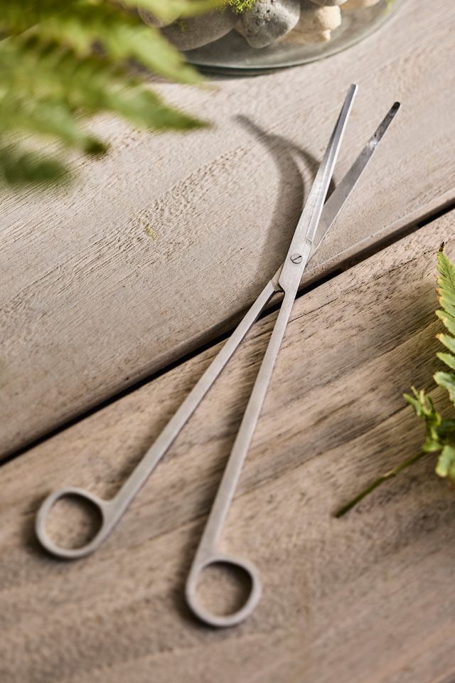 Terrarium Scissors | AnthroLiving