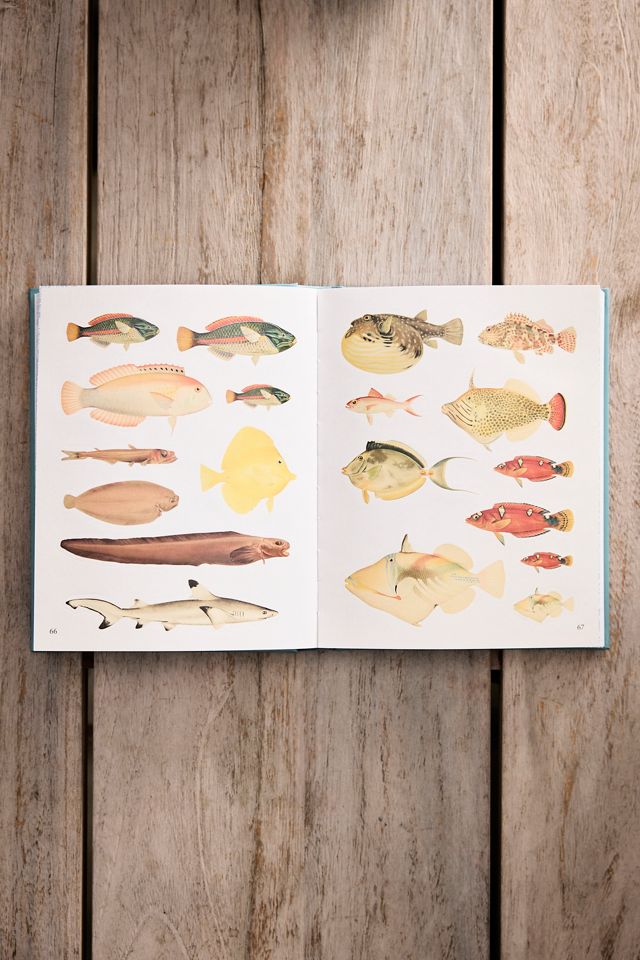 The Seashore Sticker Anthology | Terrain