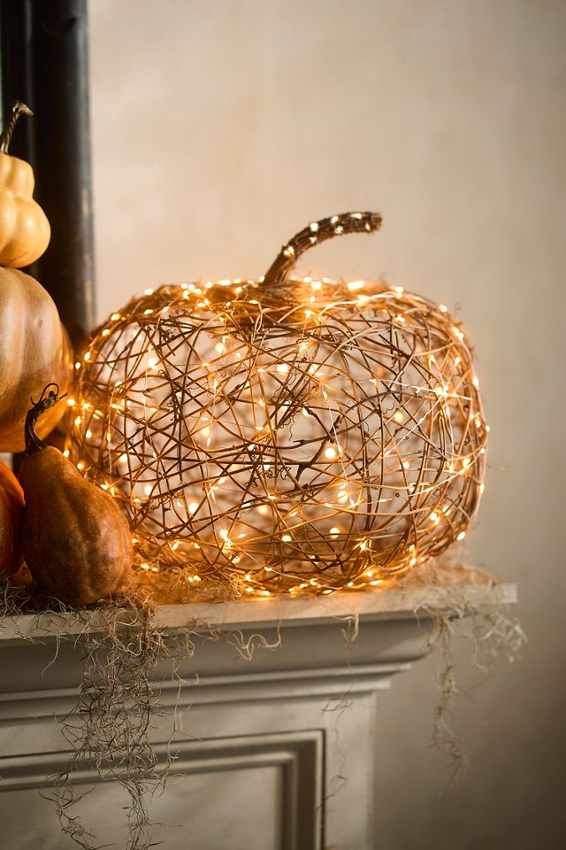 Illuminated LED Vine Pumpkin | Anthropologie