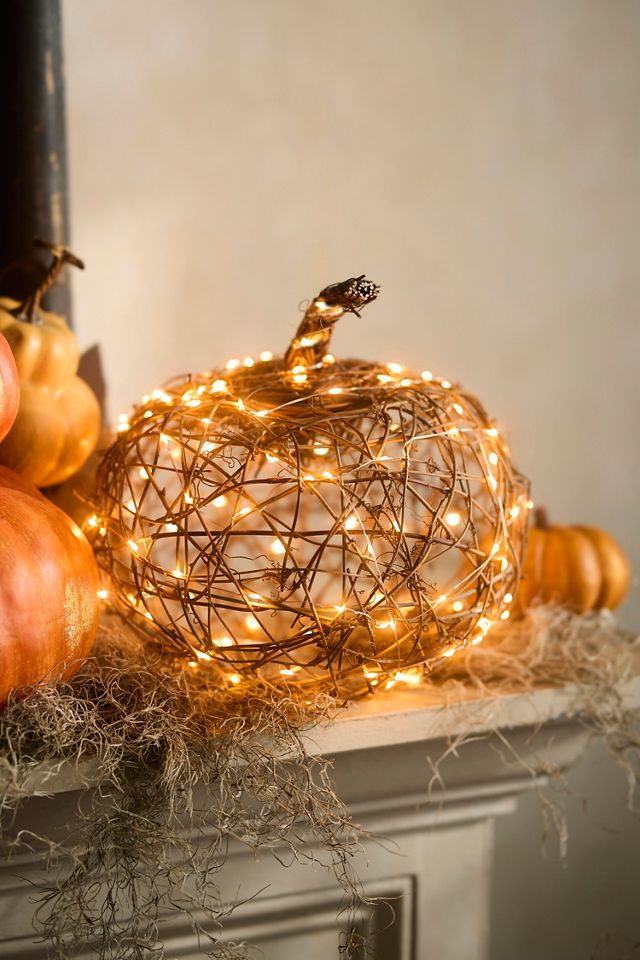Illuminated LED Vine Pumpkin | Anthropologie