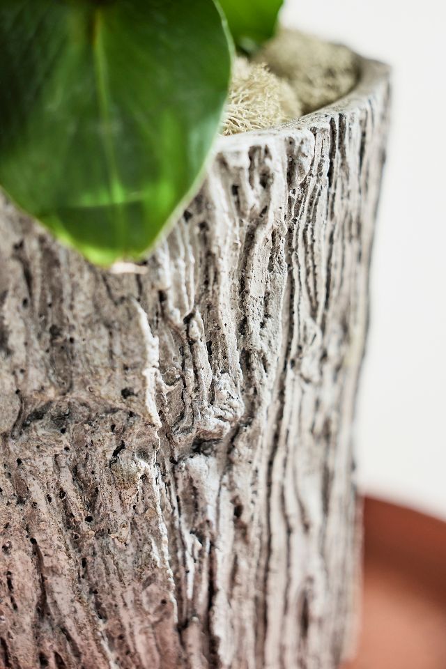 Faux Bois Taper Planter | Terrain