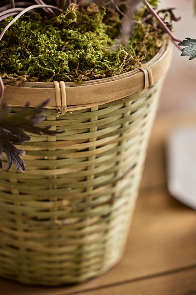 Woven Bamboo Taper Planter | AnthroHome