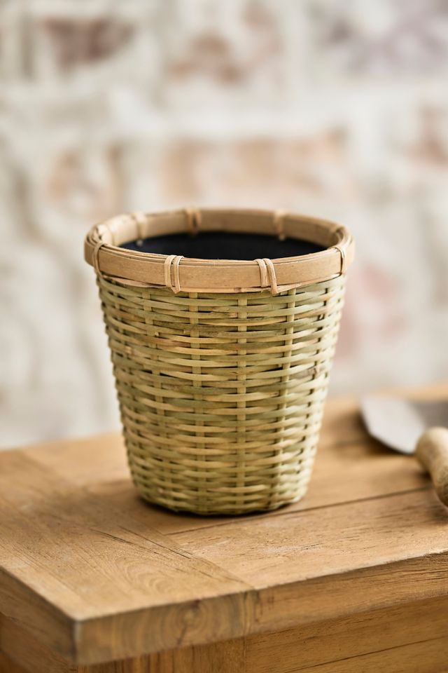 Woven Bamboo Taper Planter | Anthropologie