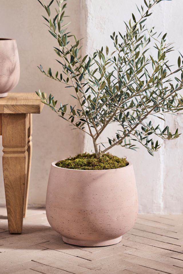 Footed Round Cement Planter | AnthroLiving